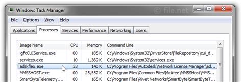 adskflex exe windows process what is it