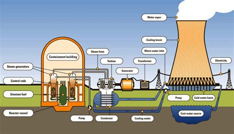 Components Of A Nuclear Power Plant Insights Ias Simplifying Upsc