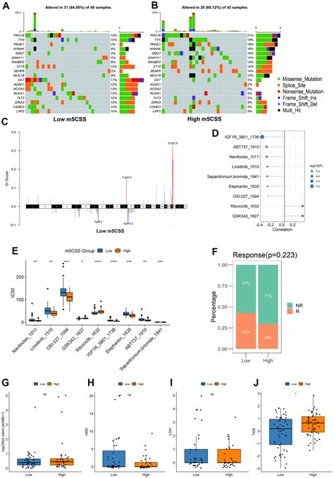 M5c Methylation Modification Guides The Prognostic Value And Immune