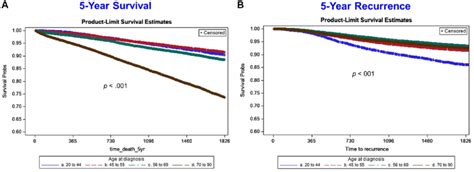 Standardized Mortality Ratios Smrs By Age Group At Breast Cancer