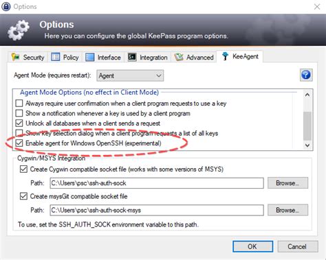 use an ssh agent in wsl with your ssh setup from windows 10 by