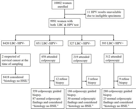 Frontiers Performance Of Human Papillomavirus E6 E7 Mrna Assay For