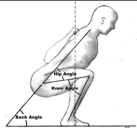 Squat Form Diagram