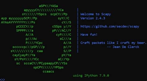 guide using scapy with python santander global tech
