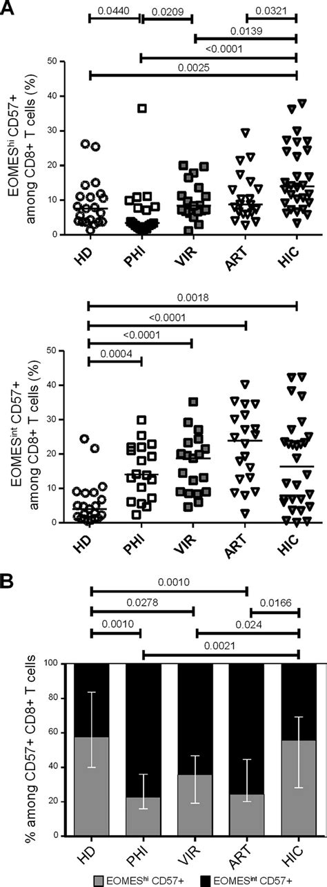 Effects Of Different Phases Of Hiv Infection On Cd57 And Download