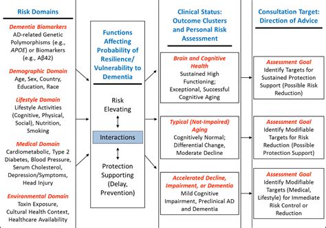 Bridging The Translation Gap From Dementia Risk Assessment To Advice