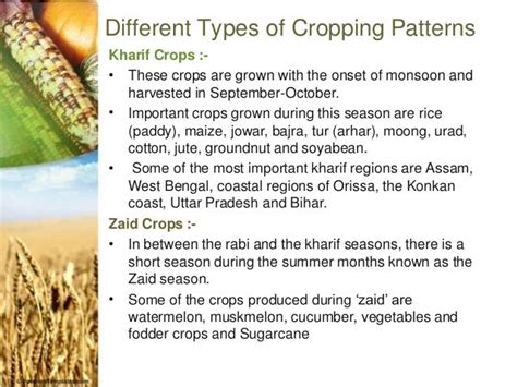 Cropping Pattern
