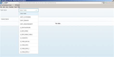 displaying database table contents dynamically using sapui5 sap portal