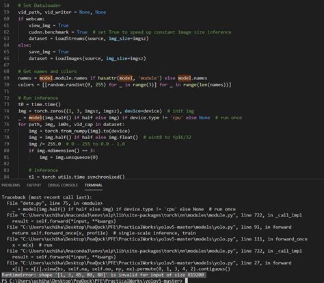 testing how to run yolov5 for inference