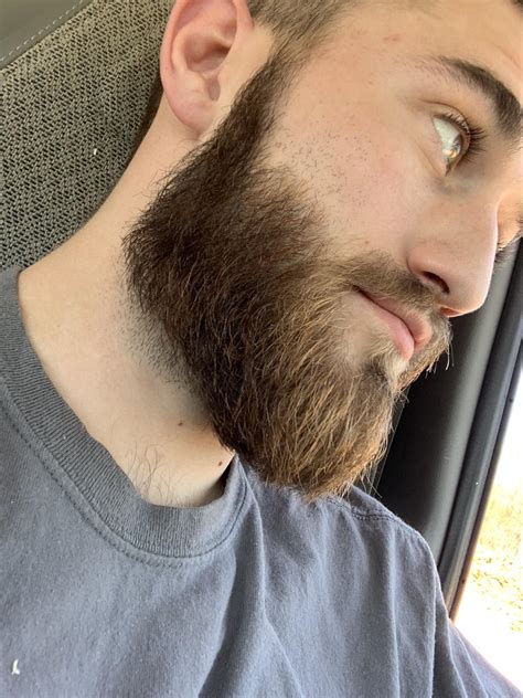 3 Month Beard Need Advice R Beards