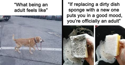 Funny Adult Memes To Have You Rolling On The Floor Laughing Bored Panda