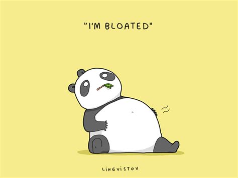 12 reasons pandas give not to have sex huffpost