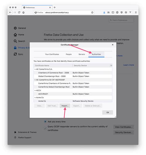 get firefox to trust your self signed certificates