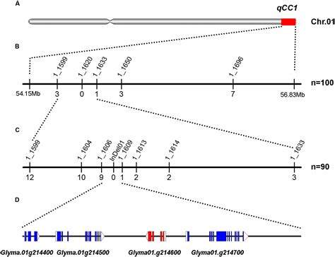 Frontiers Next Generation Sequencing From Bulked Segregant Analysis