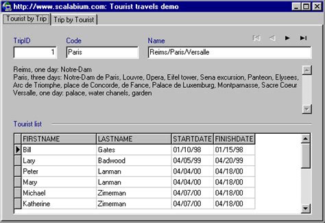 scalabium discussion about application interface