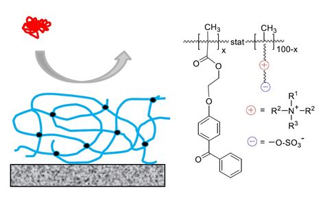 Polymers Free Full Text Surface Modification By Polyzwitterions Of
