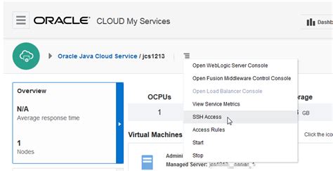 deploying an application from oracle developer cloud service to oracle