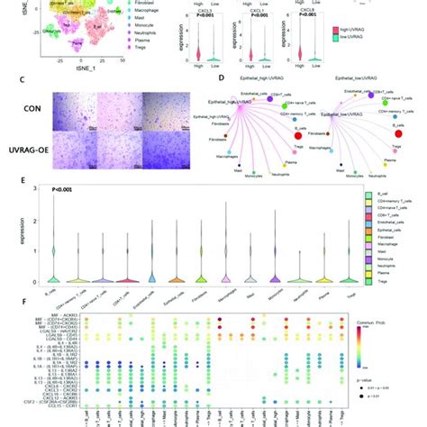 Analysis Of Scrna Seq Data A T Sne Plot Of 21 579 Cells From 6