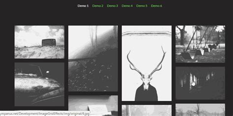 image gallery grid loading effect on click codemyui