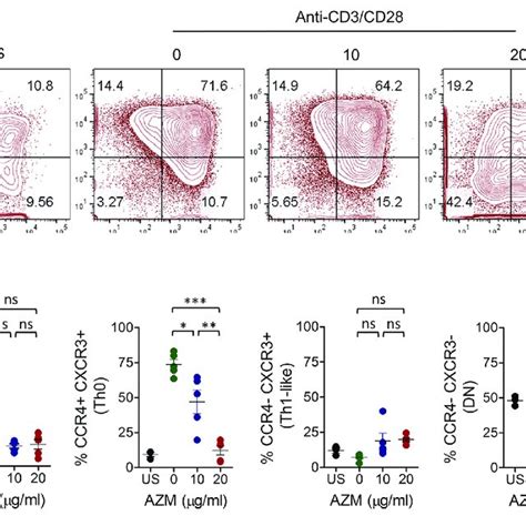Azm Inhibition Of Helper T Cell Subset Expansion Cd4 T Cells Were