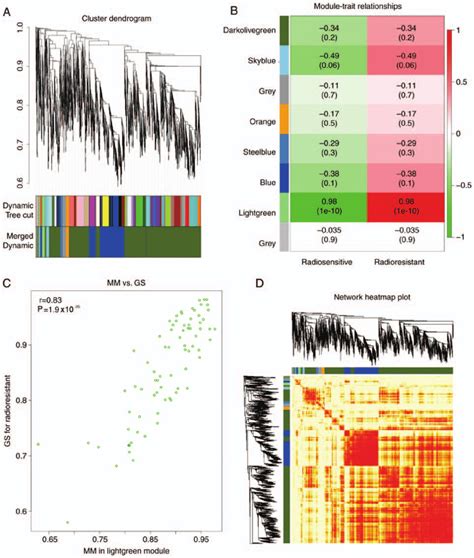 Identification Of Modules Associated With Radioresistance In The