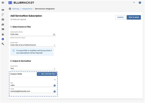 servicenow custom fields blubracket documentation