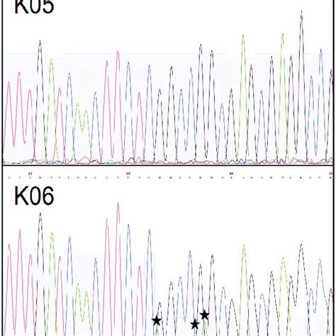 Example Of Sequencing Traces At The 18s 3 End Part From Two Specimens