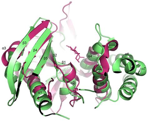 The Superposition Of Jhp933 And Lina Lincomycin Complex 4e8j