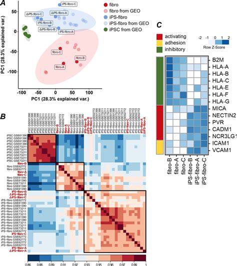Gene Expression Profiling Of Dermal Fibroblasts And Isogenic