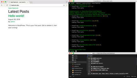 wordpress local development with valet and bedrock roots
