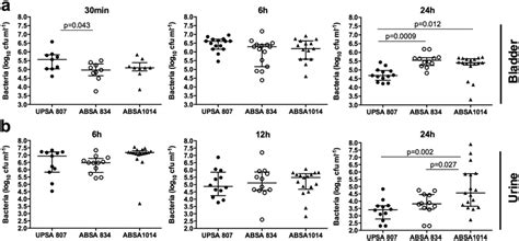 Bladder Colonization In The Murine Model Of Uti Using Upsa 807 And Absa