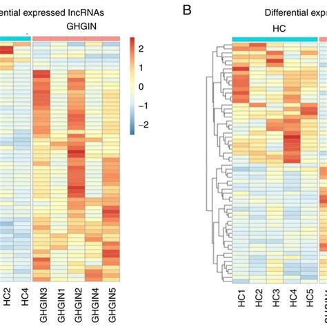 Cluster Analysis Of Differentially Expressed Lncrna And Mrna Heat Maps