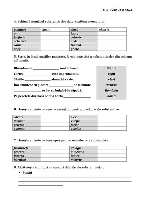 Academiaabc – Fișă De Recapitulare Substantivul Clasa A Iii A