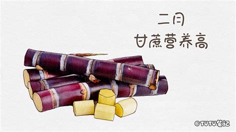 全年最佳的应季水果有哪些？各种水果的应季食用时间 哔哩哔哩