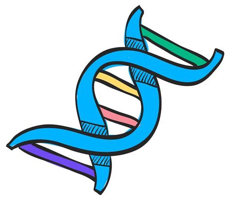 Premium Vector Dna Strands Icon In Hand Drawn Color Vector Illustration