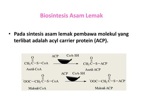 Ppt Lipida Ii Powerpoint Presentation Free Download Id 1978589