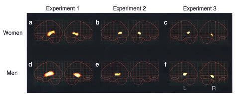 Figure 1 From Sex Differences In Lateralization Revealed In The