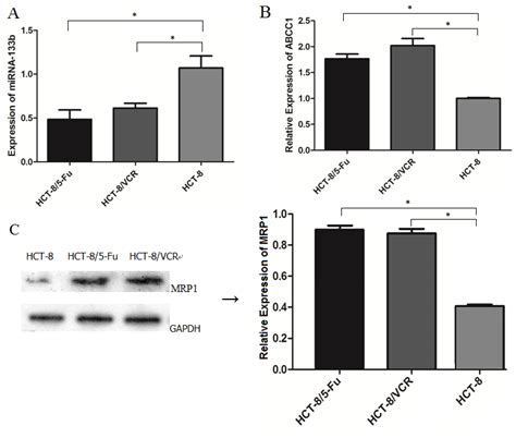 Expression Levels Of Mir 133b And Abcc1 In Normal And Drug Resistant