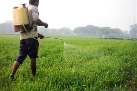 Policy Flaws In Fertiliser Sector Uttamgupta Com