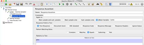 automated testing how to use request json extractor