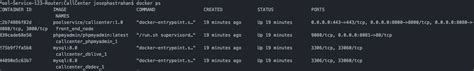 vue js vue ui is not working through docker compose