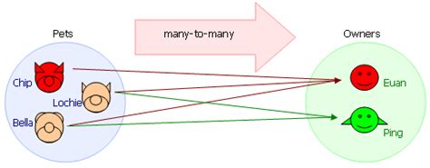 a many to many relationship is where multiple instances can interact