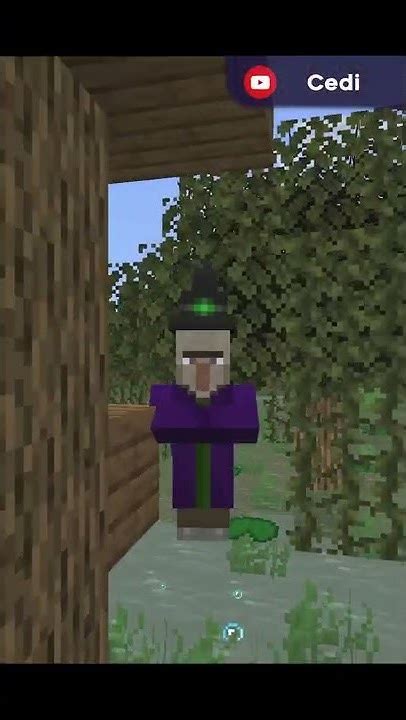 DzieŃ WiedŹmy W Minecraft Shorts Youtube