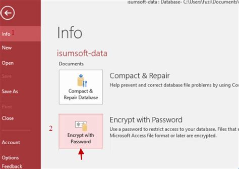 how to set database password for ms access 2016 2007 database file