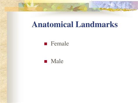 ppt prenatal care module a powerpoint presentation free download