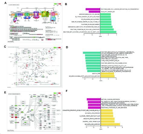 Three M6a Modification Patterns Differ In Their Underlying Biological