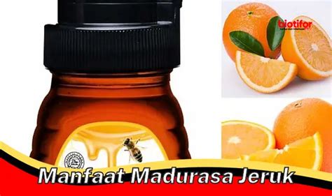 Temukan Manfaat Madurasa Jeruk Yang Jarang Diketahui Biotifor