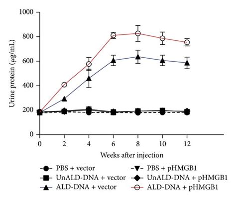 Hmgb1 Overexpression Could Promote The Severity Of Sle Balb C Mice