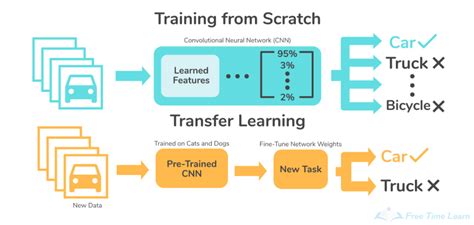 What Is Transfer Learning