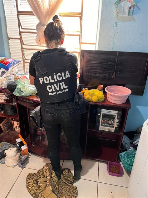 Polícia Cumpre 29 Mandados De Prisão E Busca Contra Grupo De
